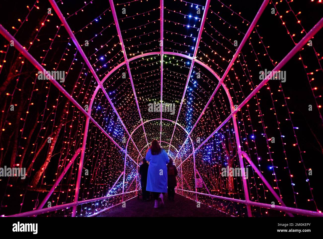 People look at the light installations on display during Windsor Great ...