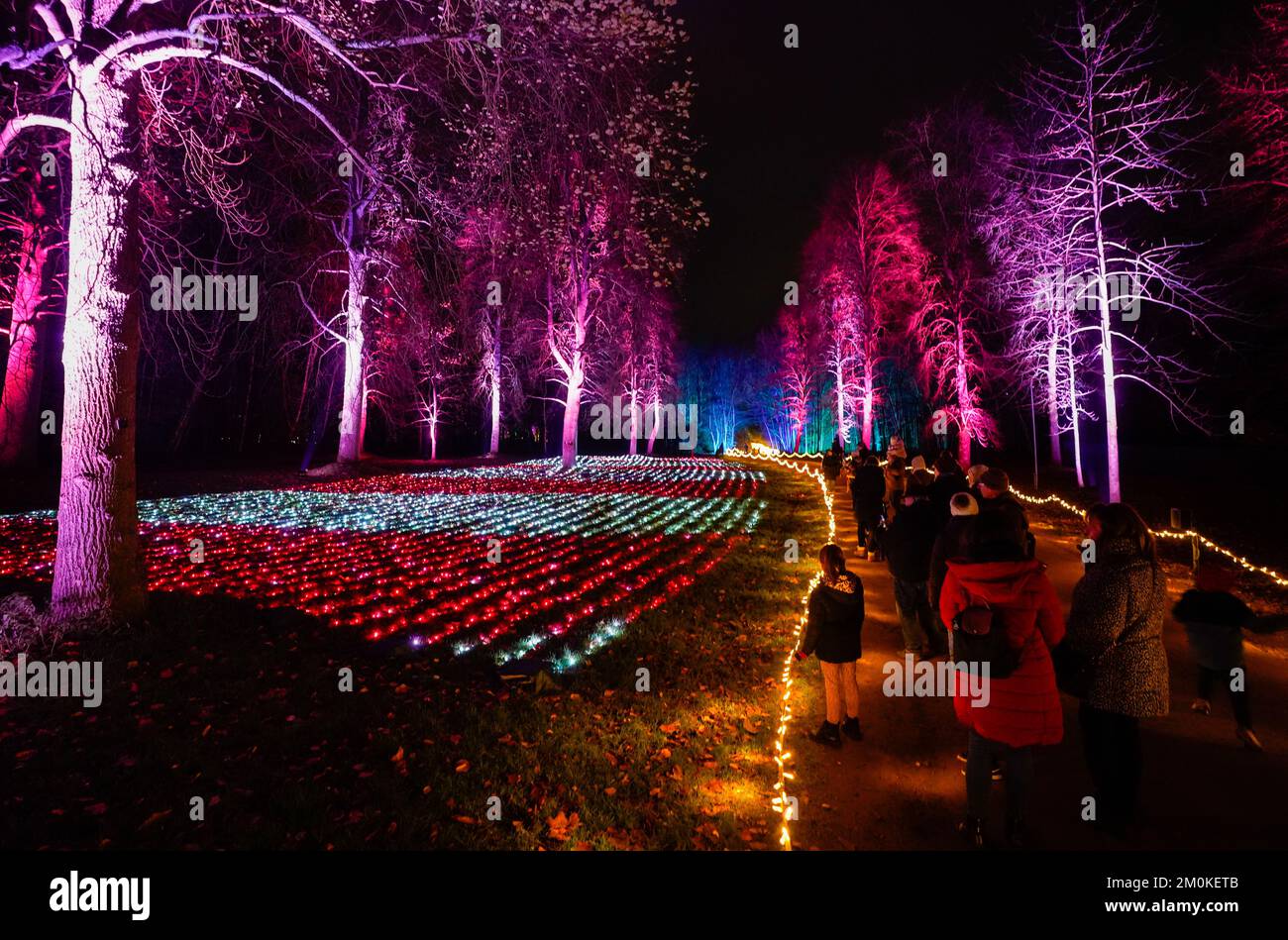 People look at the light installations on display during Windsor Great ...