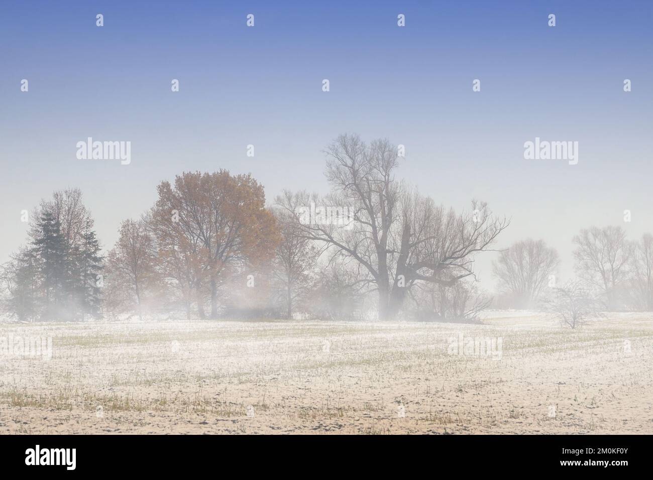 Neblige landschaft hi-res stock photography and images - Alamy