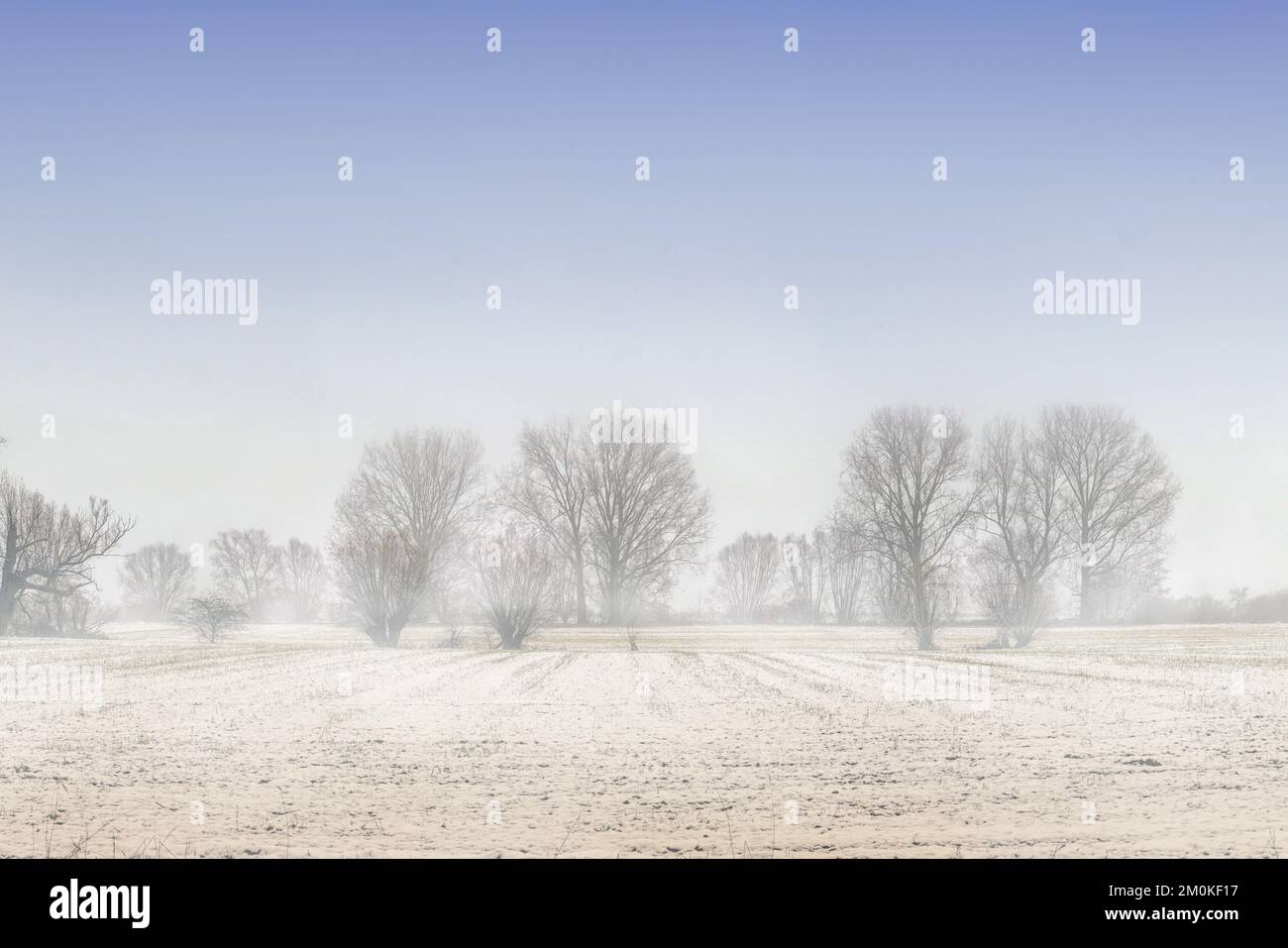 Neblige landschaft hi-res stock photography and images - Alamy