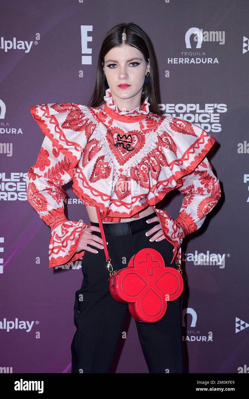 Mexico City, Mexico. 6th Dec, 2022. Ildico attends the red carpet of ...