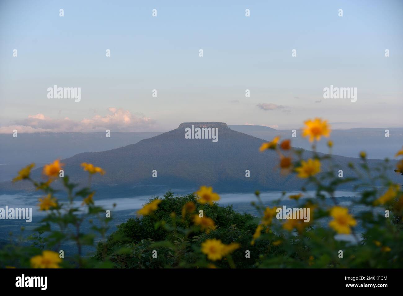 Phu Pa Po Mountain is like Mount Fuji in Japan. and Thung Bua thong ...