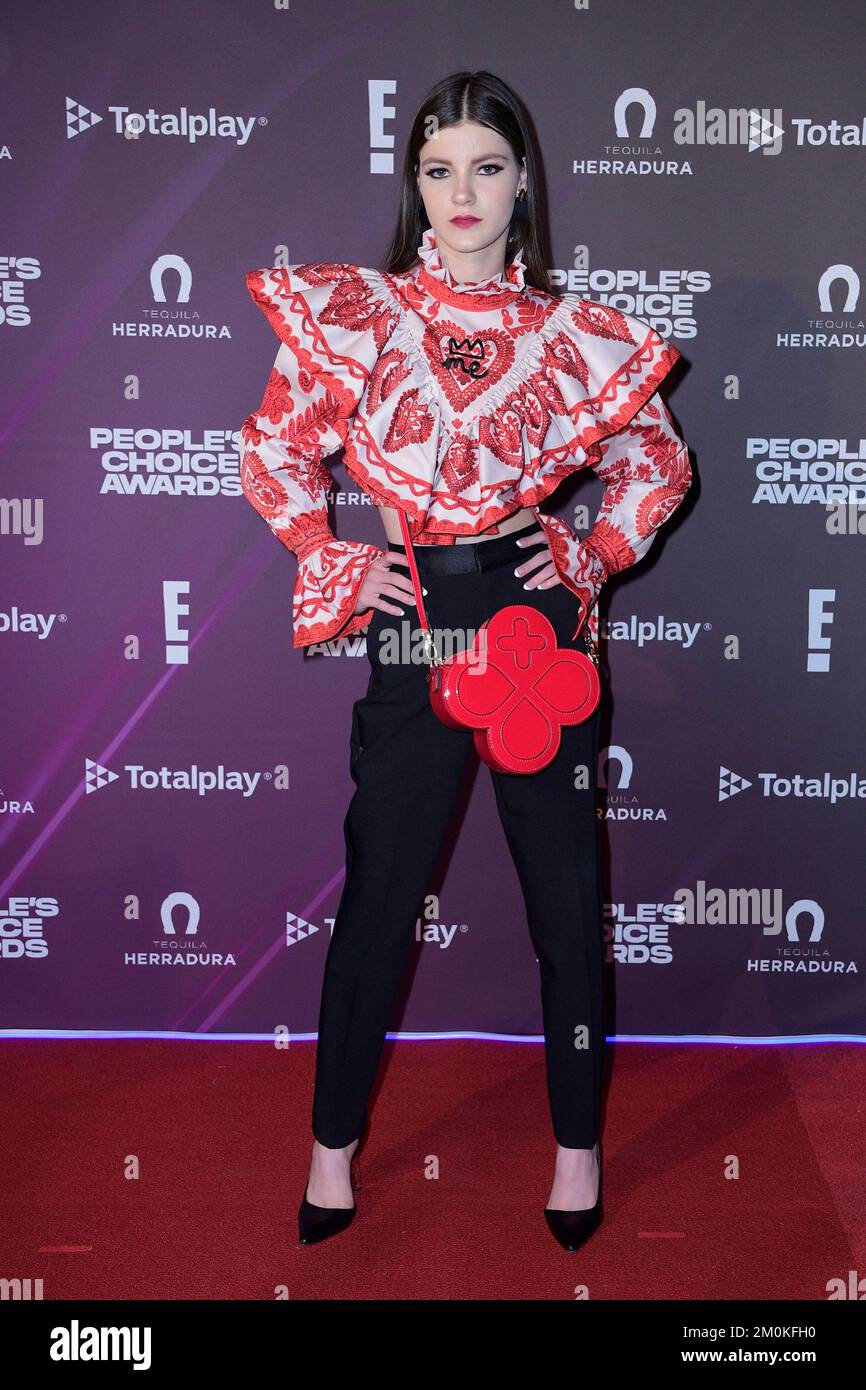 Mexico City, Mexico. 6th Dec, 2022. Ildico attends the red carpet of ...