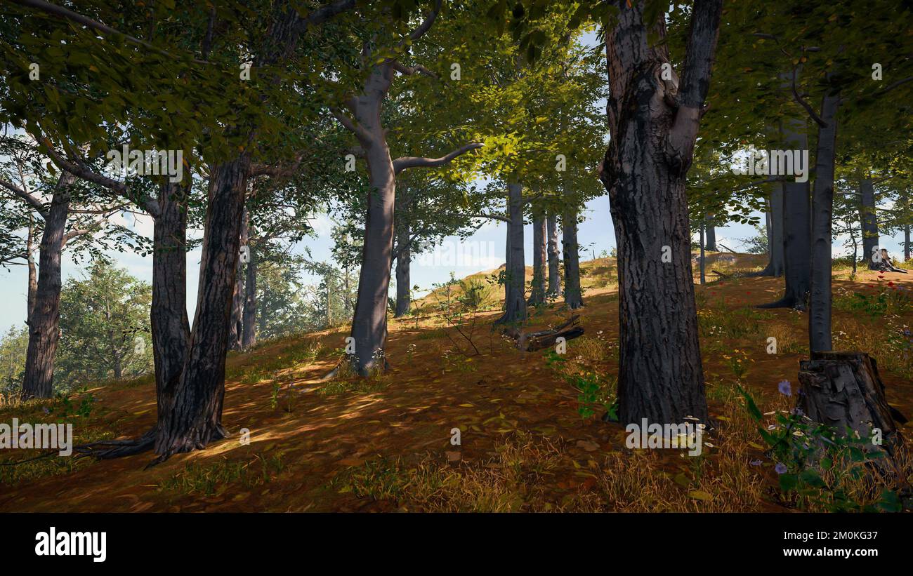 3D rendering. An immersive natural environment. Landscape to illustrate ...