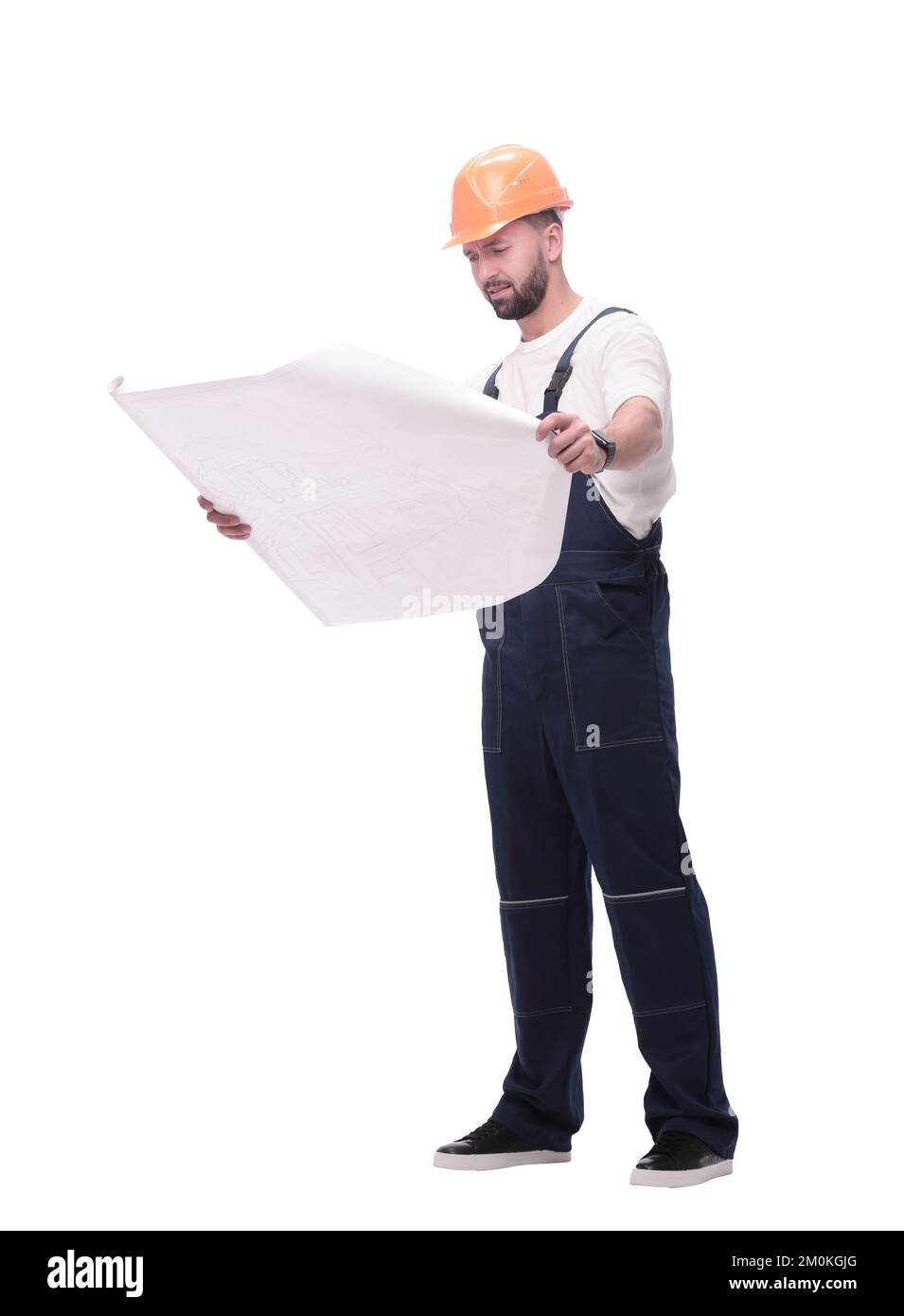 competent foreman Builder looking at drawings. isolated on white Stock ...