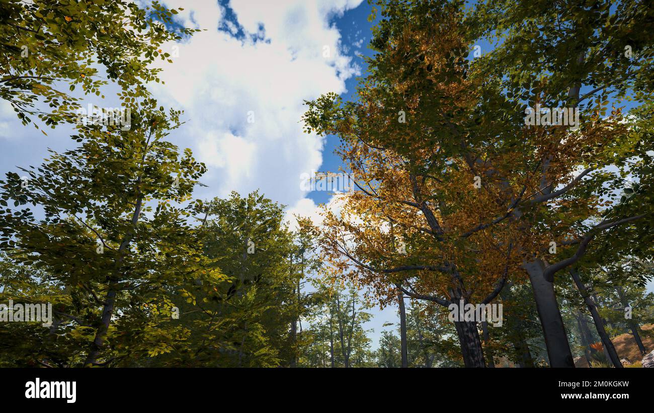 3D rendering. An immersive natural environment. Landscape to illustrate ...