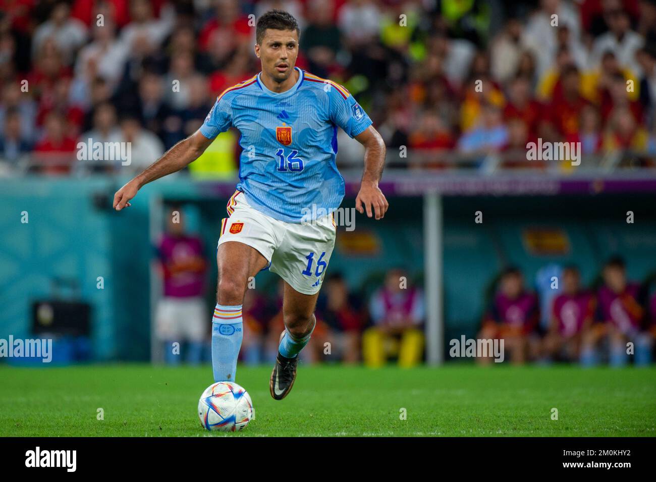 RODRI of Spain during the FIFA World Cup Qatar 2022 Round of 16 match ...