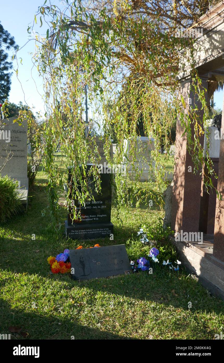 Los Angeles, California, USA 3rd December 2022 A general view of ...