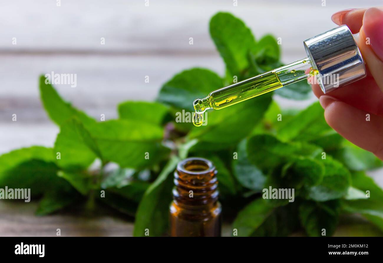 The mint extract in a small jar. Selective focus Stock Photo - Alamy