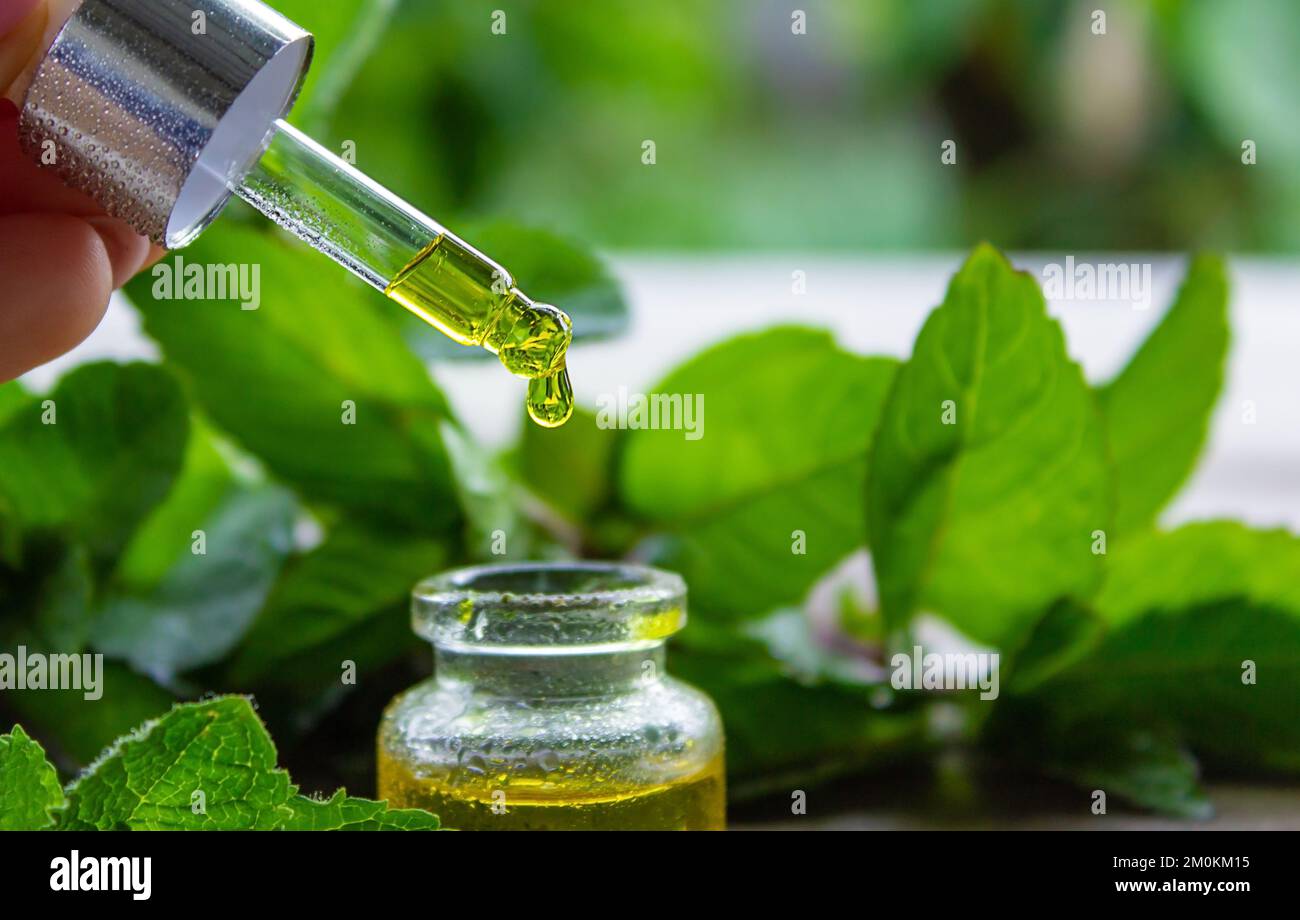 The mint extract in a small jar. Selective focus Stock Photo - Alamy