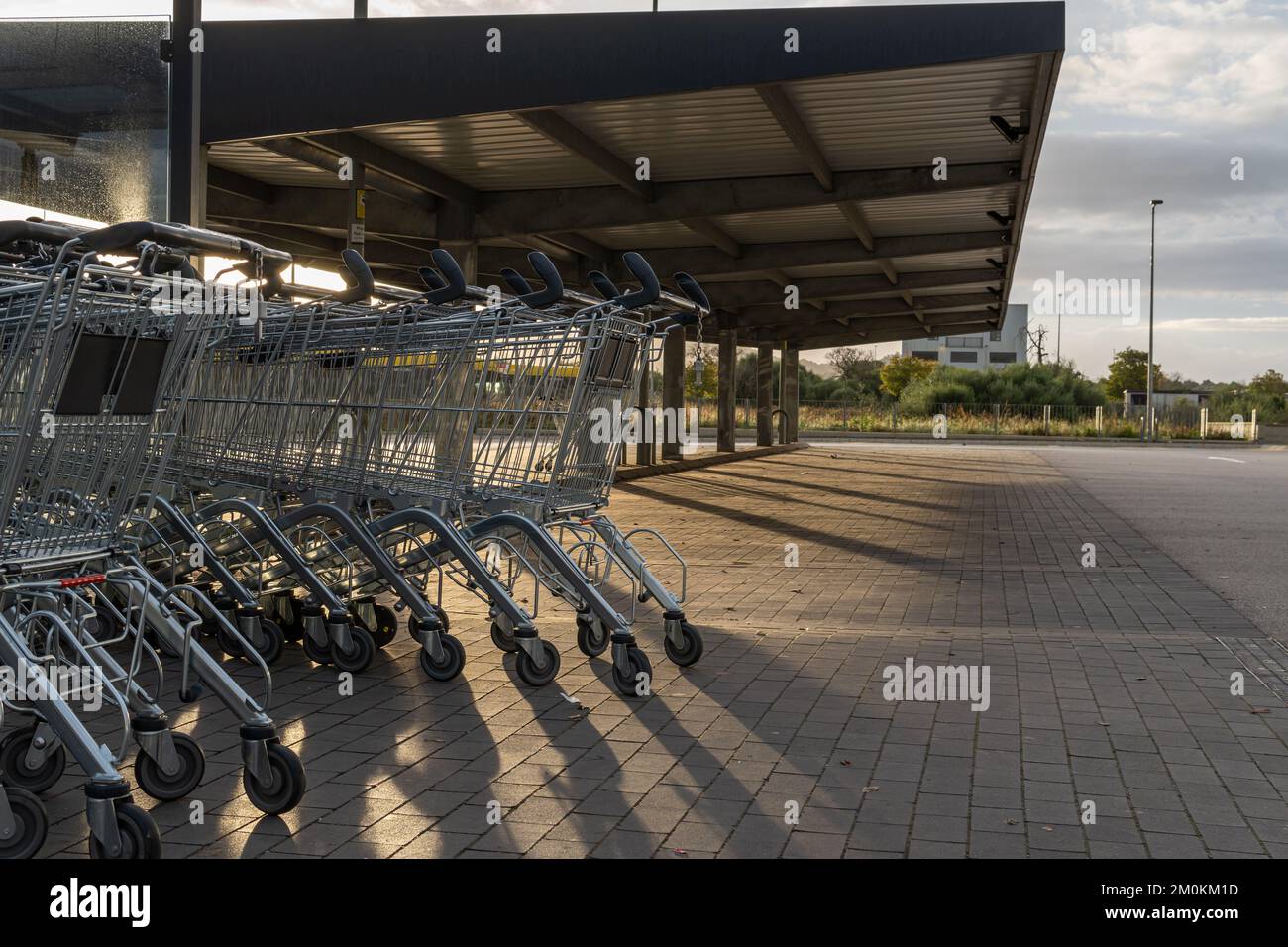 Metal supermarket carts in a parking lot empty of cars and people at sunrise. Conceptual ...