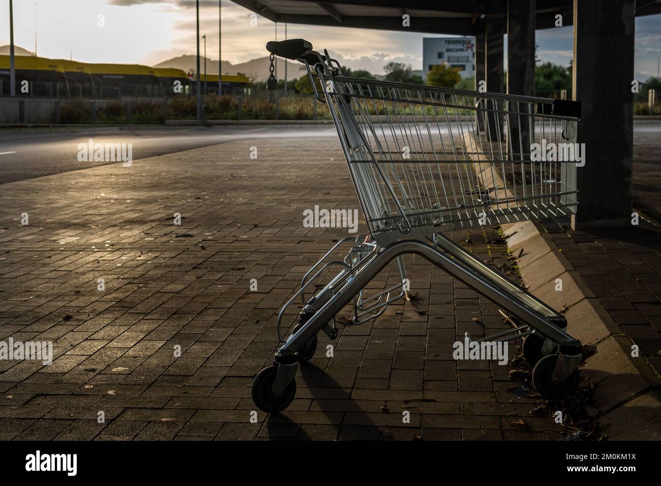 Metal supermarket carts in a parking lot empty of cars and people at sunrise. Conceptual ...
