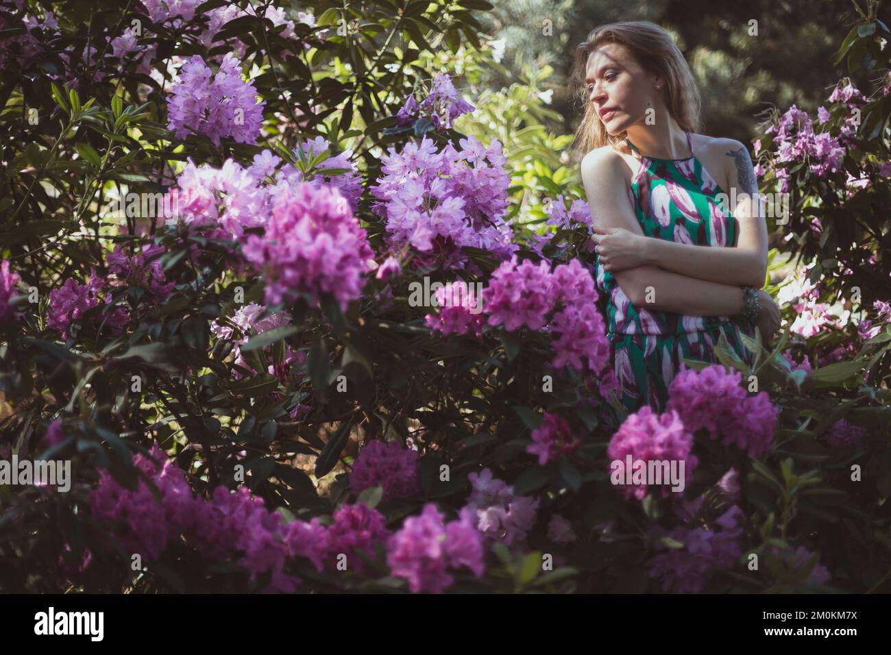 Lady embracing herself near flowering pink bushes scenic photography ...
