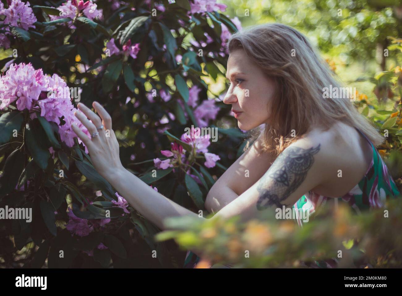 Enjoying flowers bloom in spring scenic photography Stock Photo - Alamy