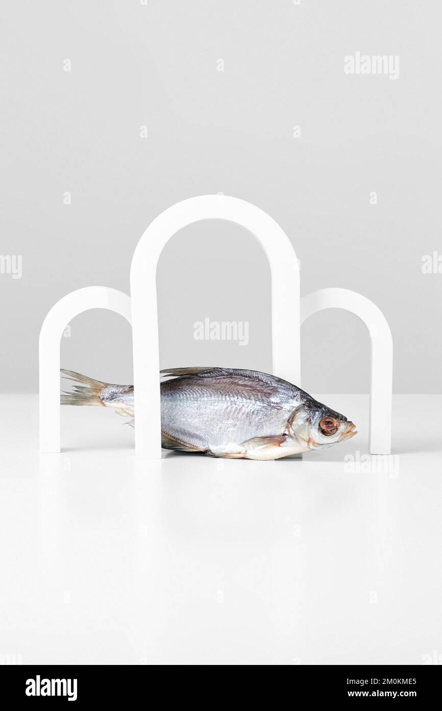 Dried salty roach under arches on white and gray background Stock Photo ...