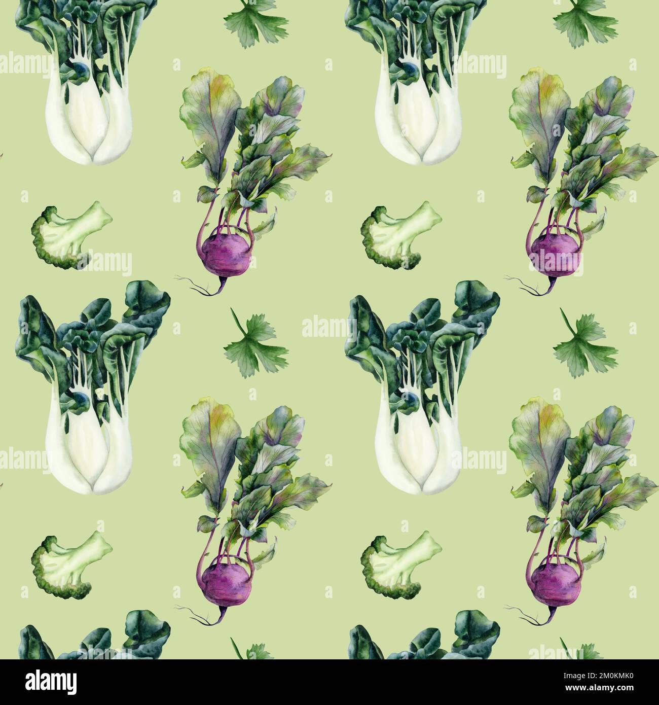 Watercolor background seamless pattern with peking cabbage. purple ...