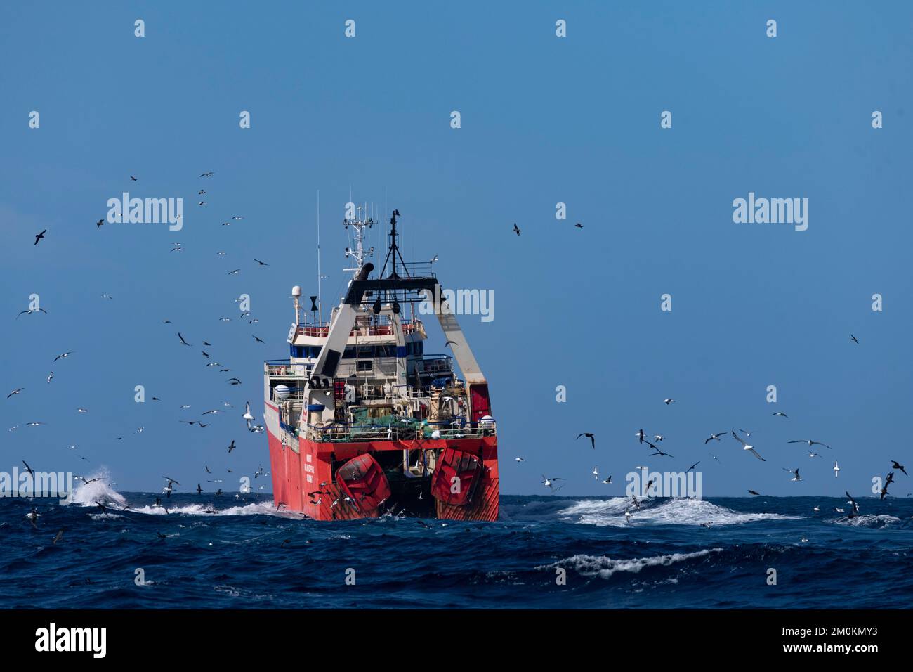 Long-line commercial fishing trawler with pelagic birds Stock Photo - Alamy