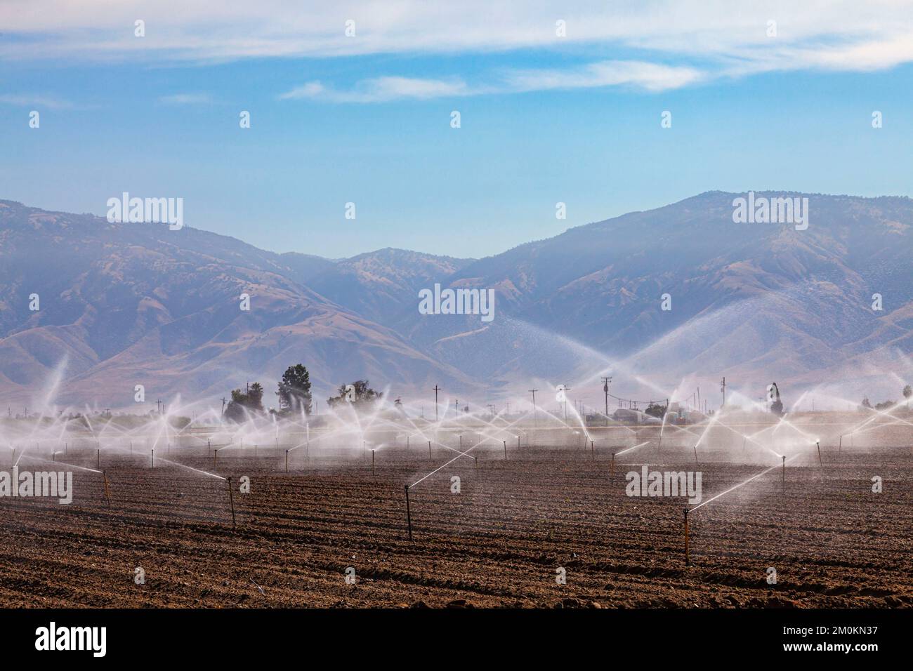 Crop irrigation, California, USA Stock Photo - Alamy