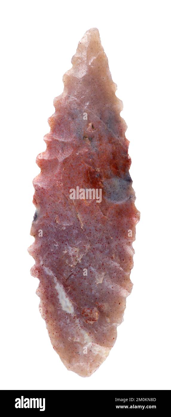 Neolithic stone tool Stock Photo - Alamy