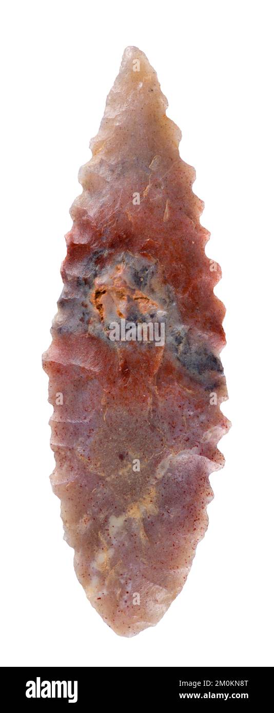 Neolithic stone tool Stock Photo - Alamy