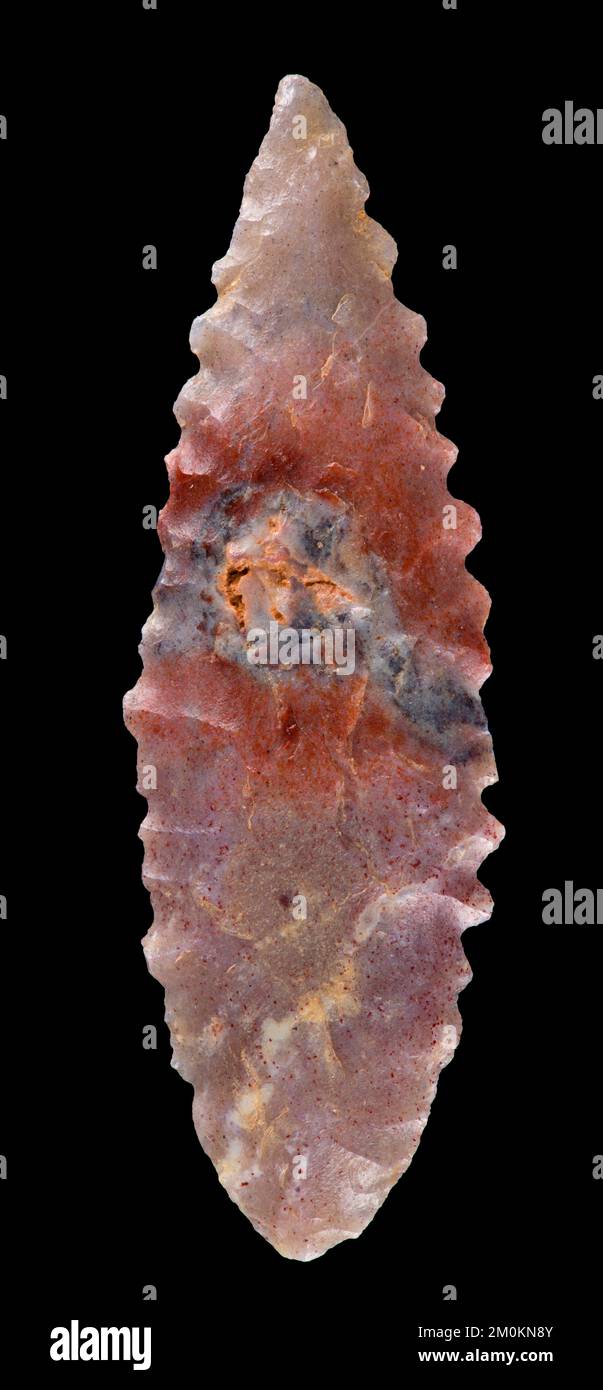 Neolithic stone tool Stock Photo - Alamy