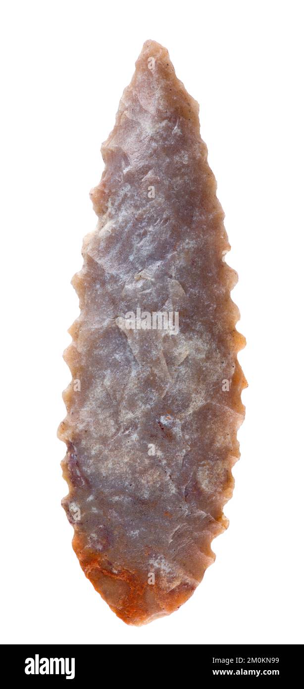 Neolithic stone tool Stock Photo - Alamy