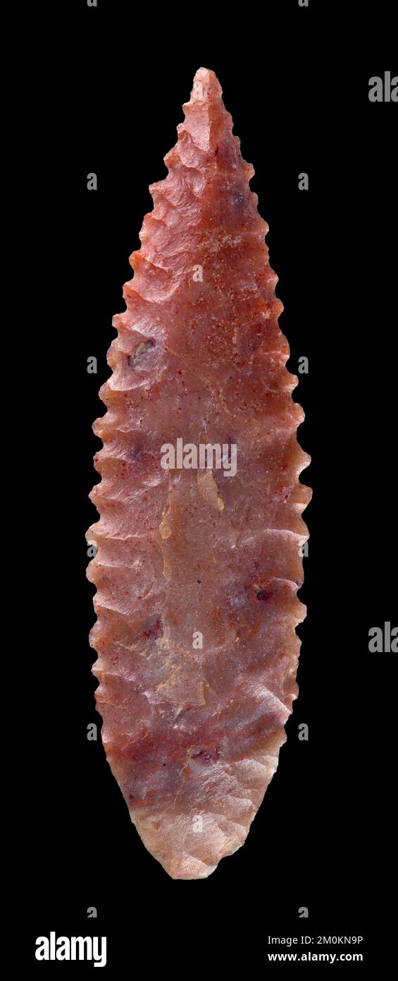 Neolithic stone tool Stock Photo - Alamy