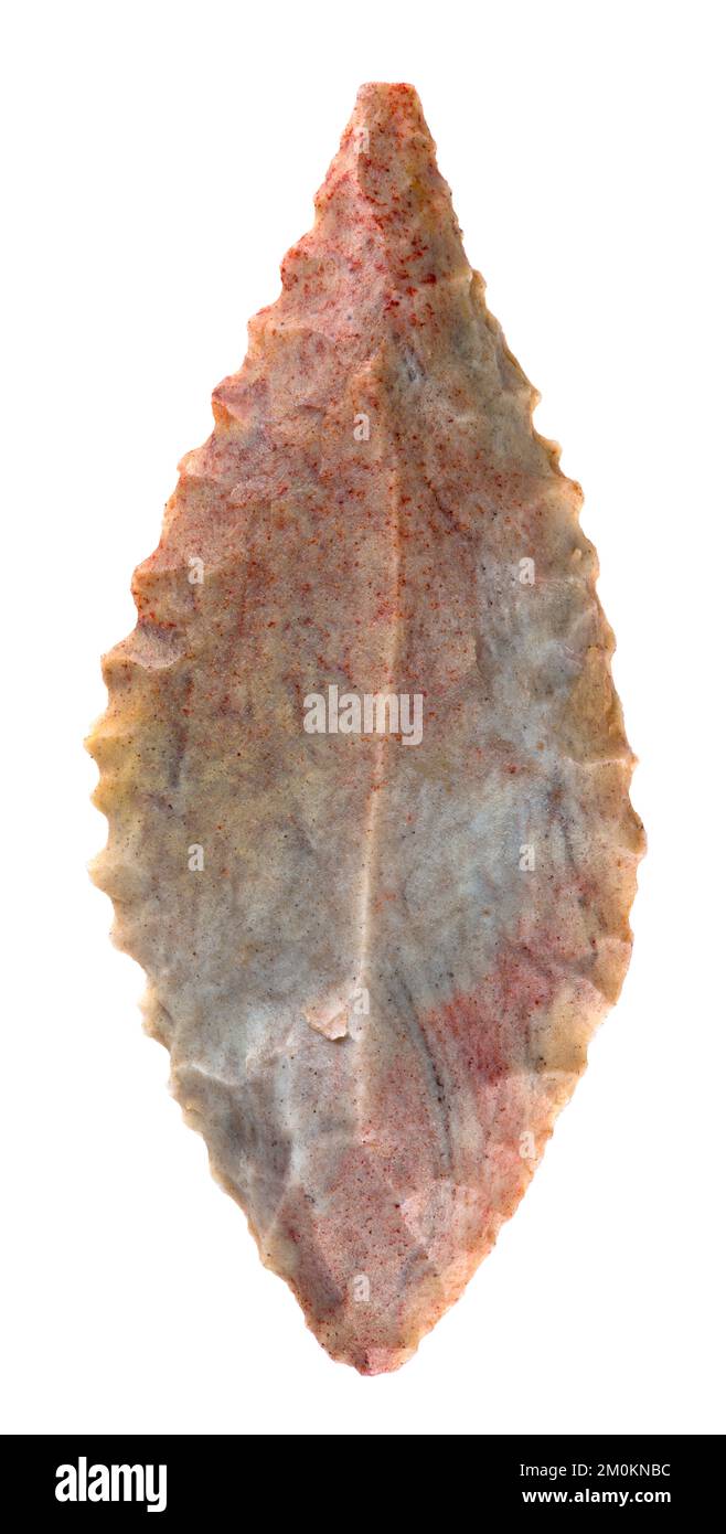 Neolithic stone tool Stock Photo - Alamy