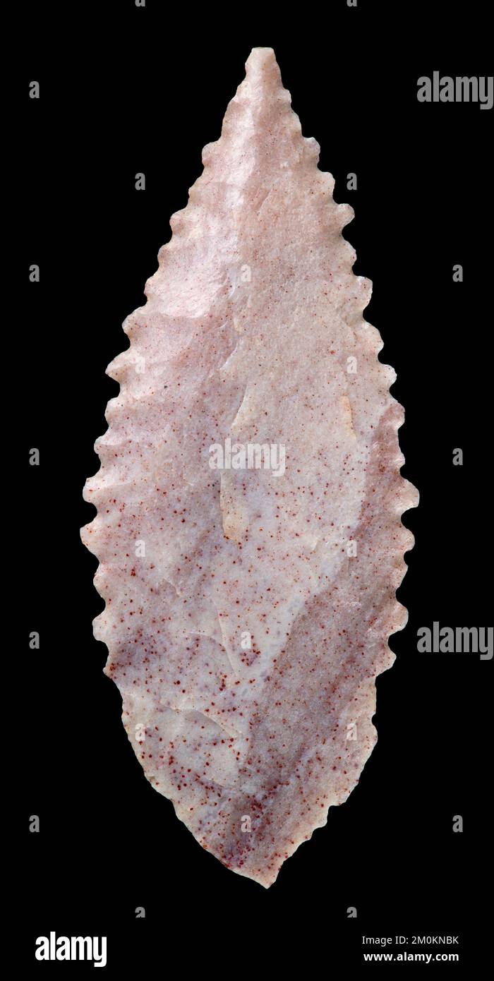 Neolithic stone tool Stock Photo - Alamy