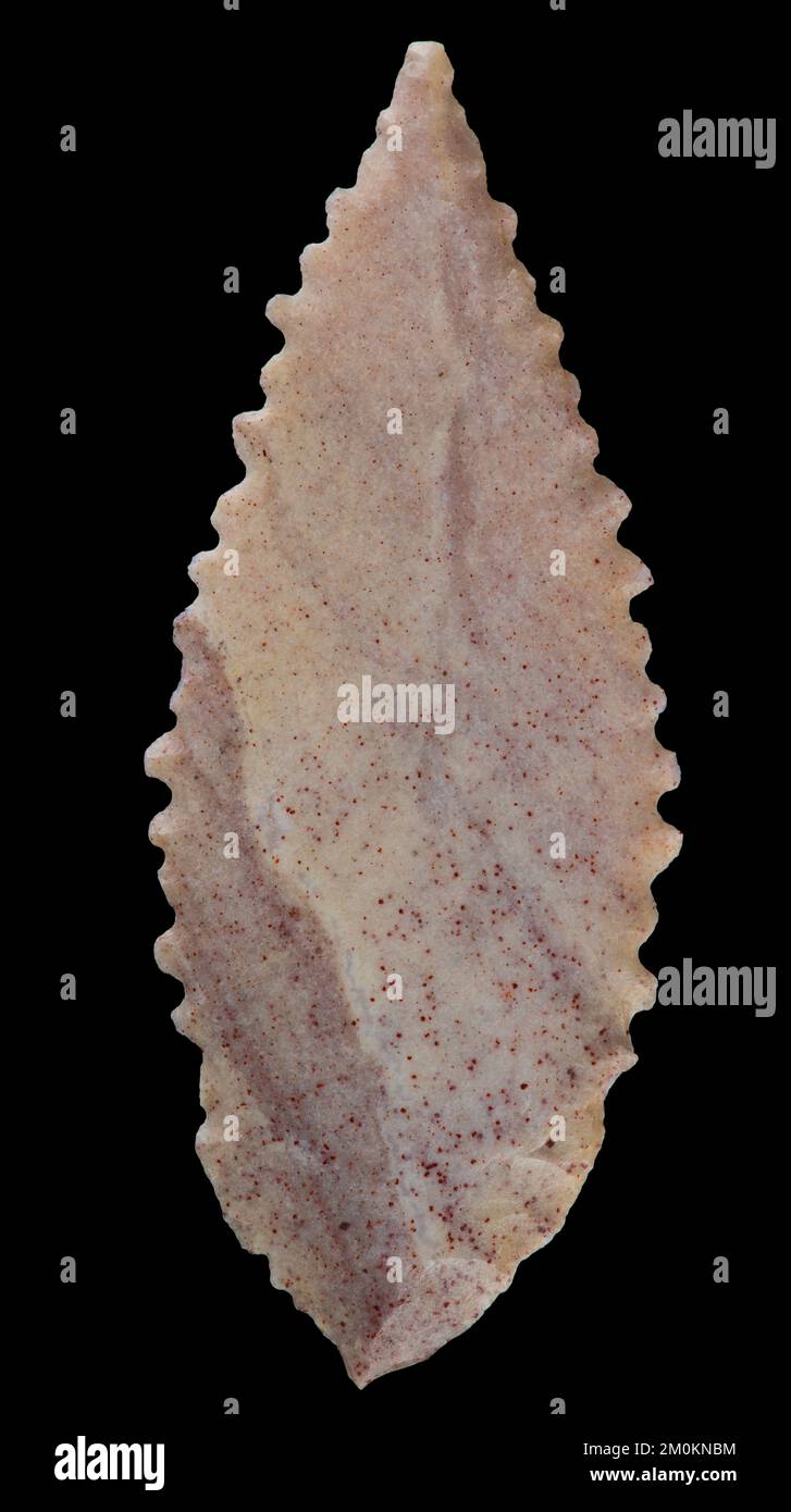 Neolithic stone tool Stock Photo - Alamy