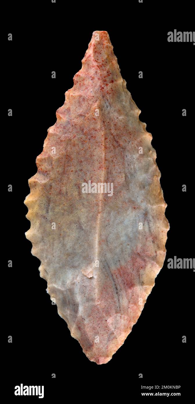 Neolithic stone tool Stock Photo - Alamy