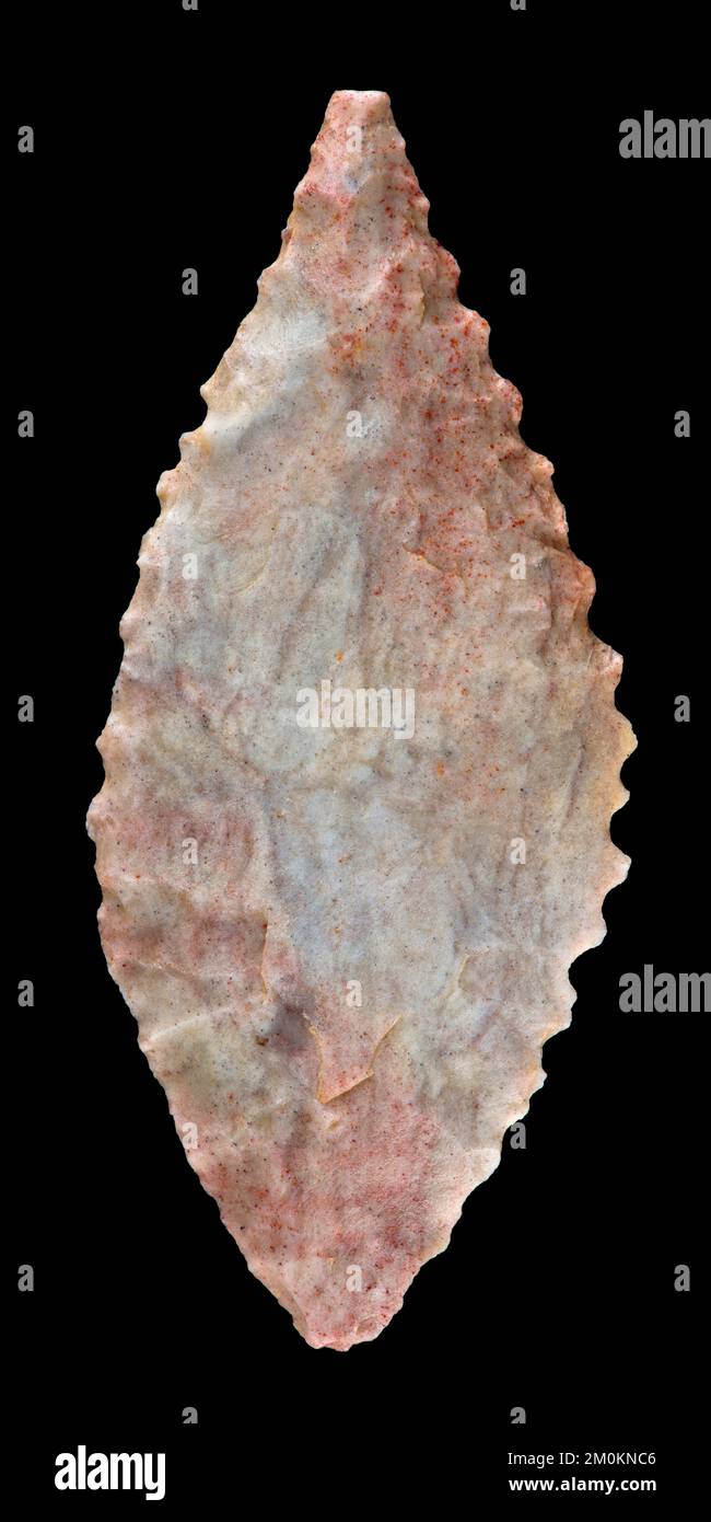 Neolithic stone tool Stock Photo - Alamy