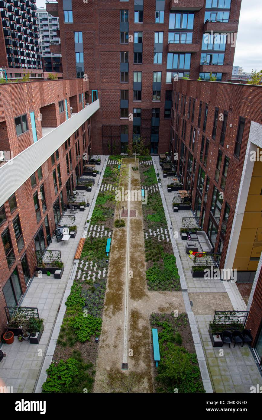 Green spaces in Rotterdam, Netherlands Stock Photo - Alamy