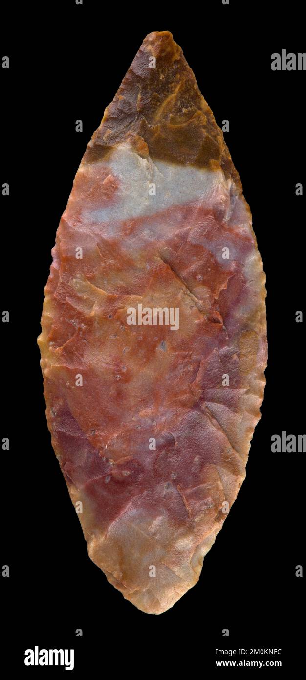 Neolithic stone tool Stock Photo - Alamy