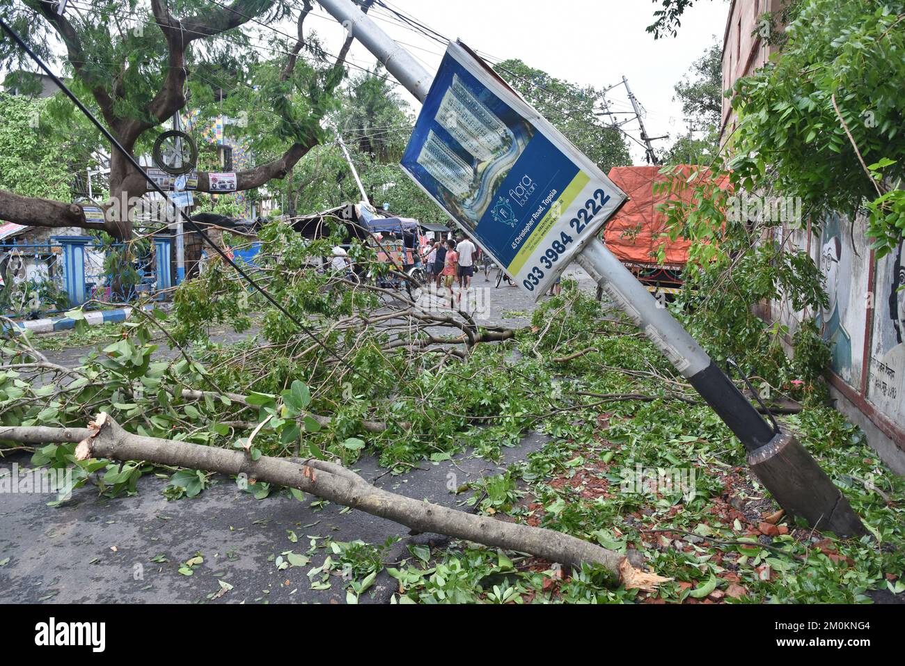 Aftermath of cyclone Amphan, Kolkata, India Stock Photo - Alamy