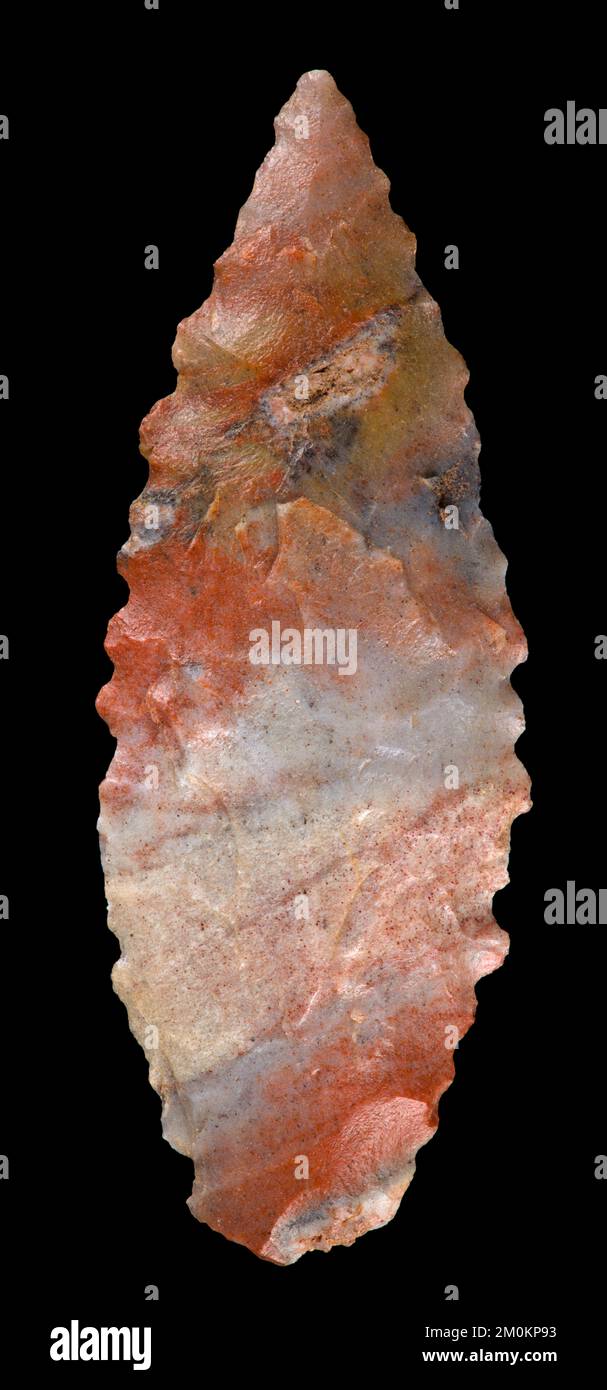 Neolithic stone tool Stock Photo - Alamy