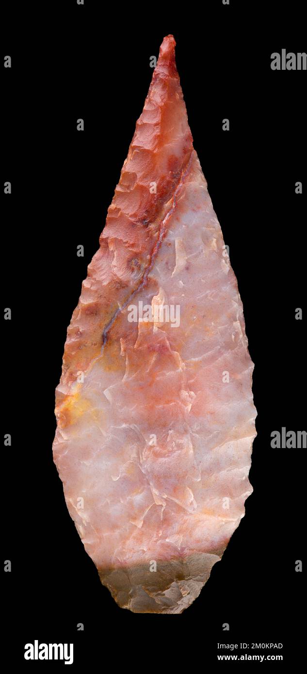 Neolithic stone tool Stock Photo - Alamy