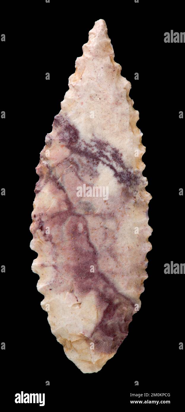 Neolithic stone tool Stock Photo - Alamy