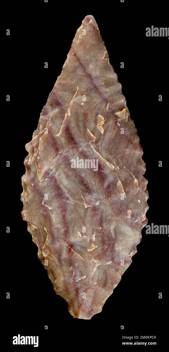 Neolithic stone tool Stock Photo - Alamy
