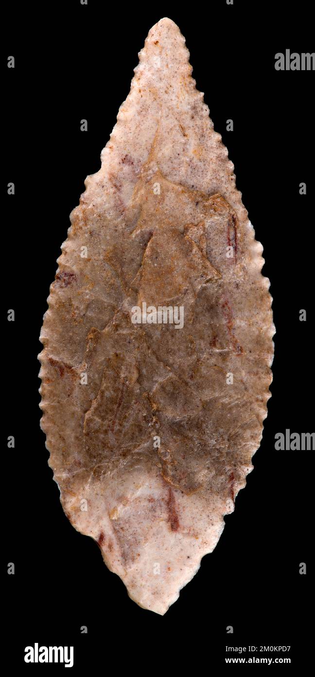 Neolithic stone tool Stock Photo - Alamy