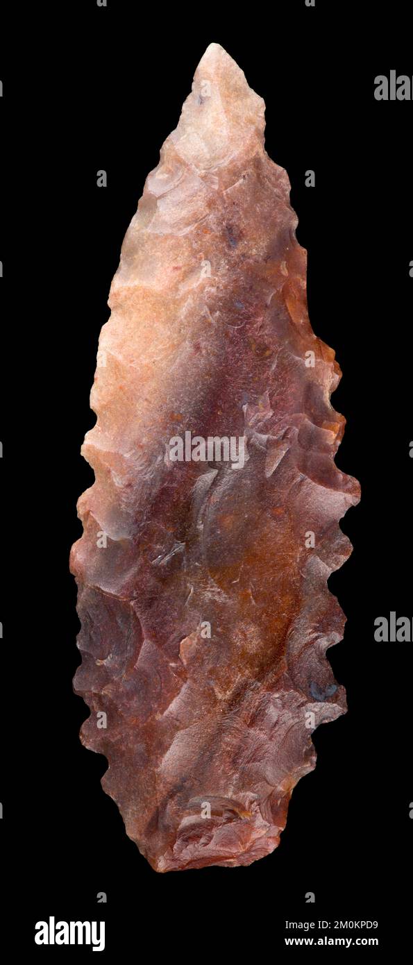 Neolithic stone tool Stock Photo - Alamy