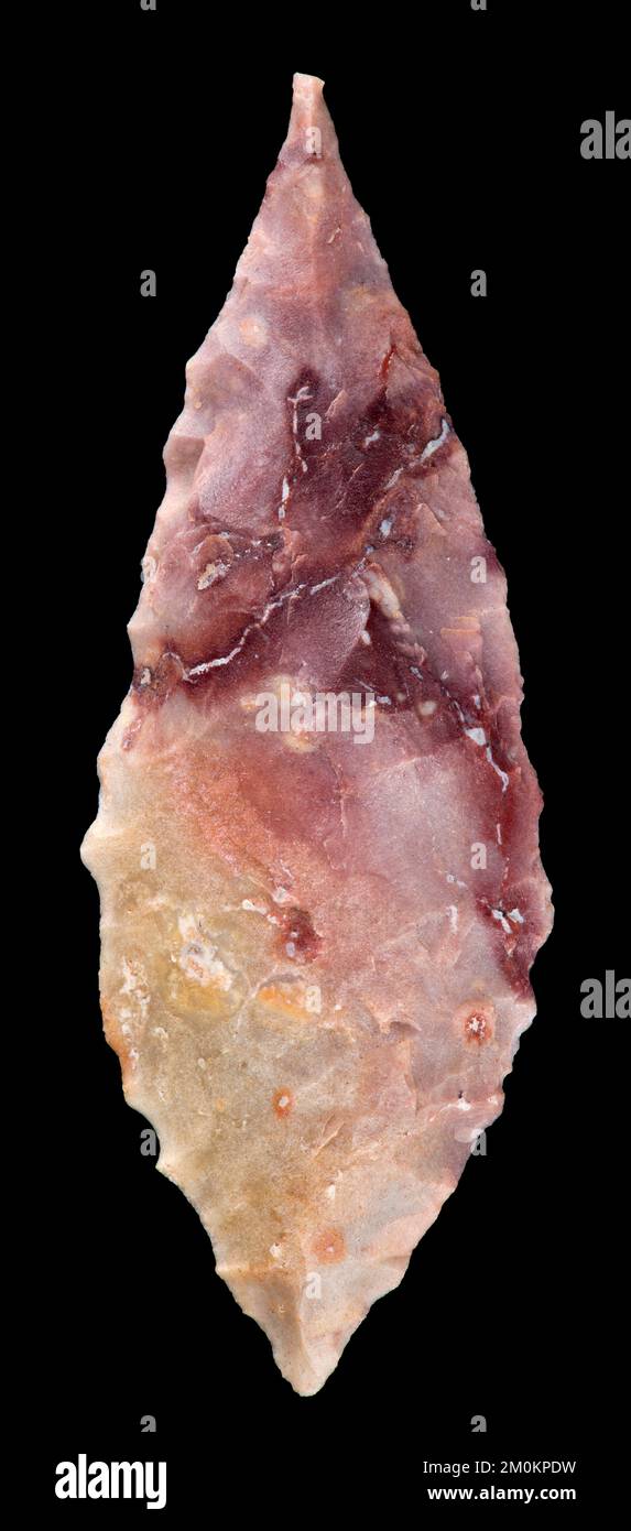 Neolithic stone tool Stock Photo - Alamy