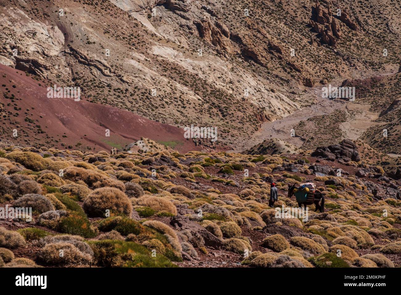 Plateau de Tarkeddit descent towards the Arous gorge, MGoun trek, Atlas ...