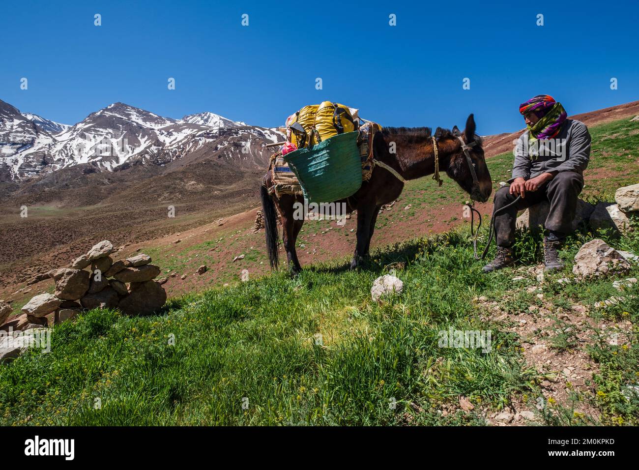 berber muleteer, Timaratine, MGoun trek, Atlas mountain range, morocco ...