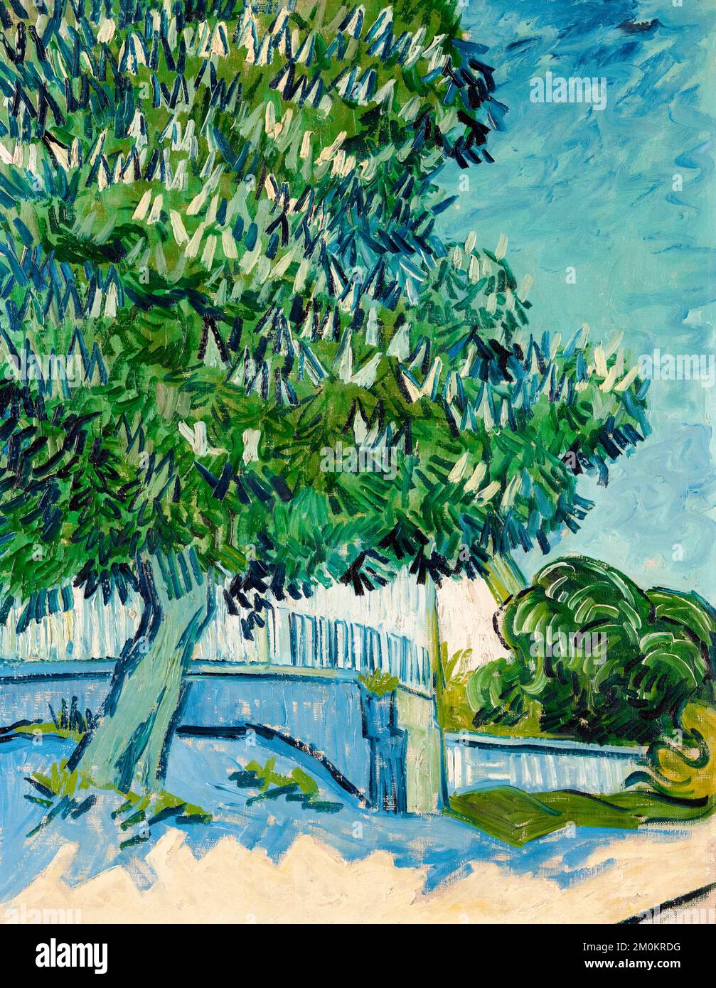 Blossoming chestnut trees vincent van gogh hi-res stock photography and ...