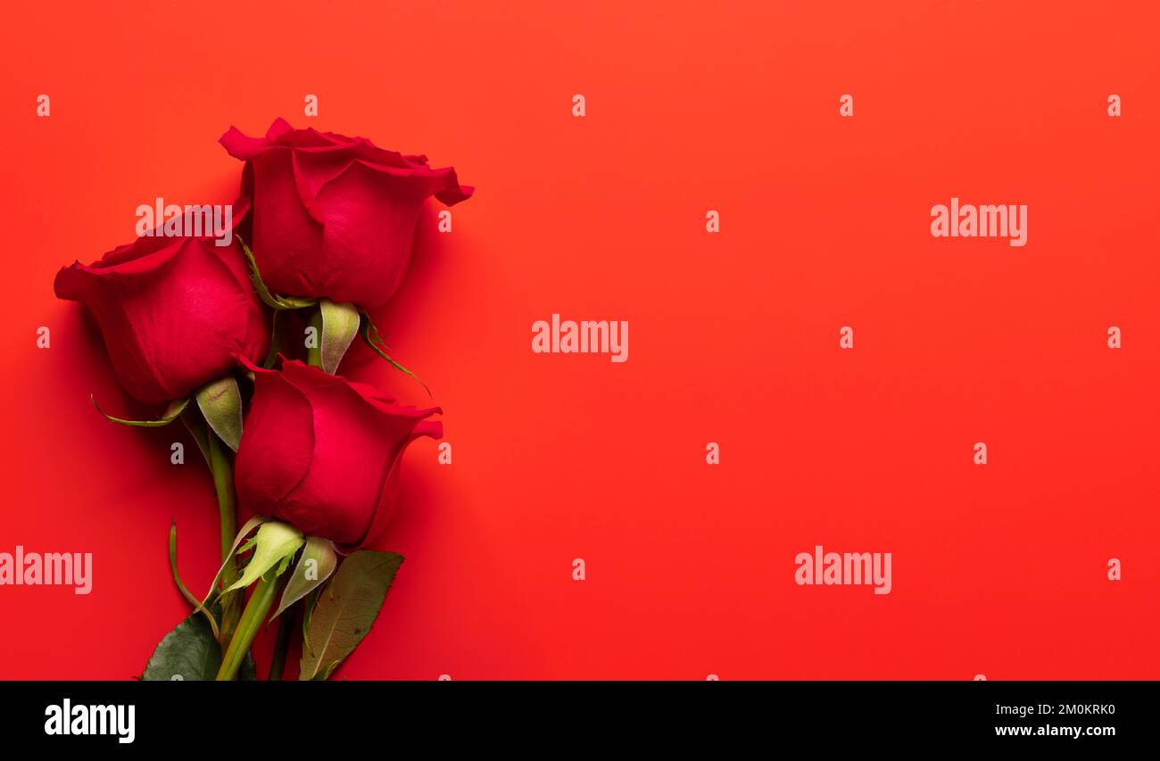 Valentines day greeting card with rose flowers. Flat lay with space for ...