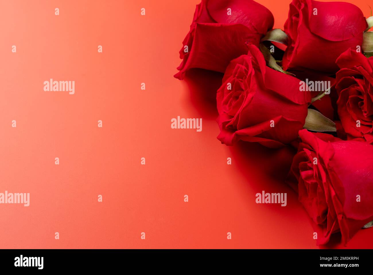 Valentines day greeting card with rose flowers. Flat lay with space for ...