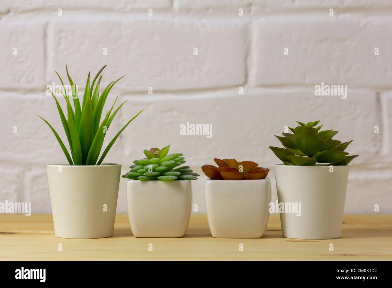 Indoor artificial plants, various succulents in pots. Succulents in ... Indoor artificial plants, various succulents in pots. Succulents in ...