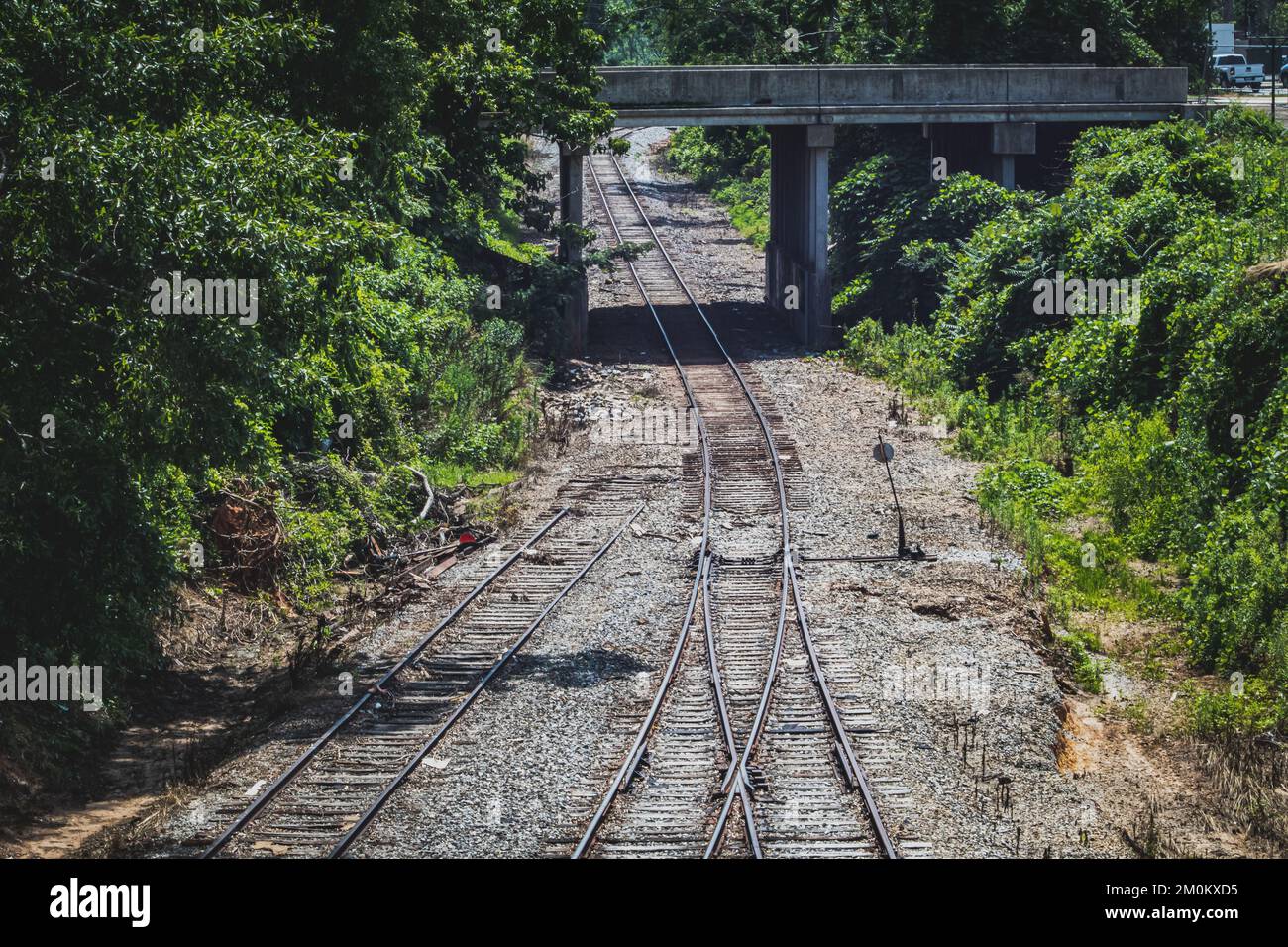 A high-angle of multiple empty railroad tracks and a bridge trees ...