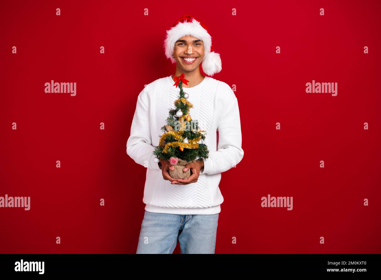 Photo of positive nice person hands hold small decorated newyear ...